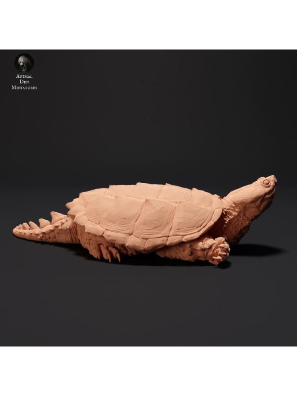 Common snapping turtle sunbathing