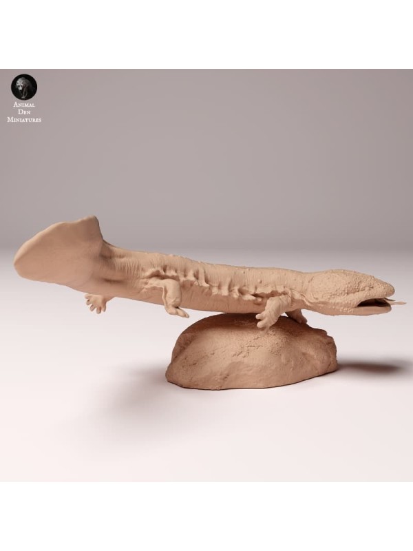 Japanese giant salamander fishing